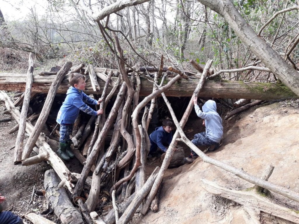 Natural Connections – Schools Without Walls