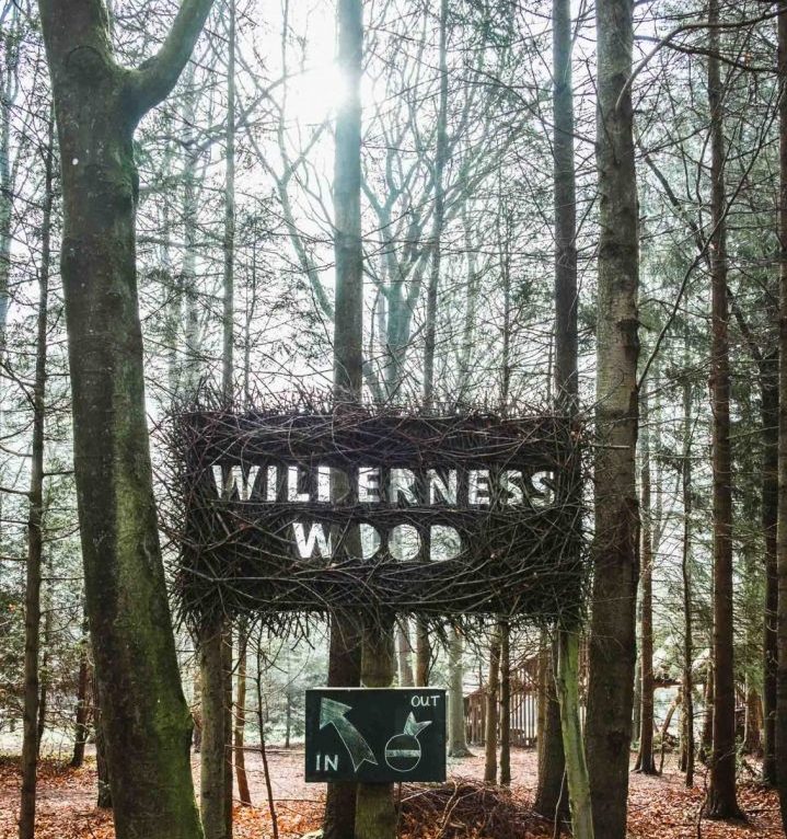 Wilderness Wood – Schools Without Walls